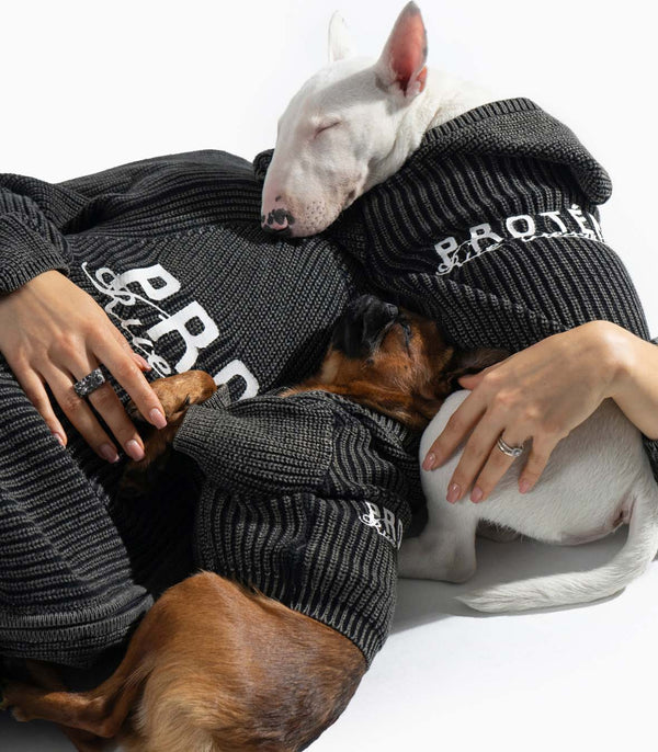 Human & Pet Hoodie Set – Protémoa™ Official International Store